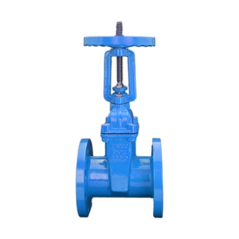 AWWA C509 Rising Stem Resilient Seat Gate Valve - Oss Valve