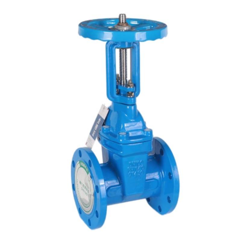 Ductile Iron Resilient Seated Gate Valve Rising Stem - Oss Valve